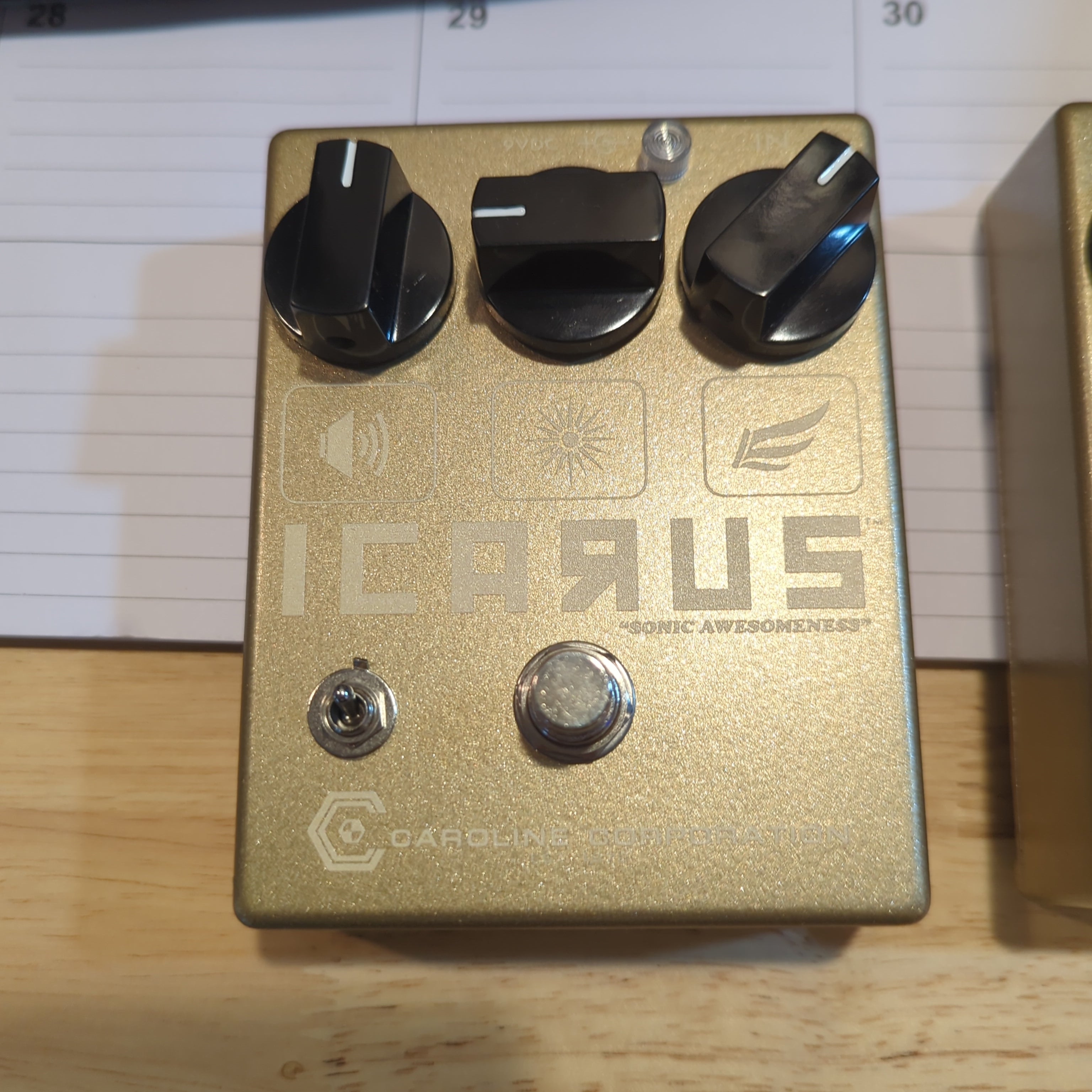 Caroline Icarus MOD – Rusty's Cool Guitars